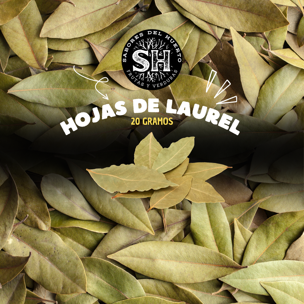 HOJAS DE LAUREL (20 gr) – Saboresdelhuerto