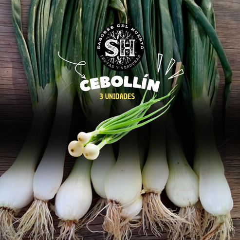 CEBOLLÍN (3 unidades) – Sabores del huerto