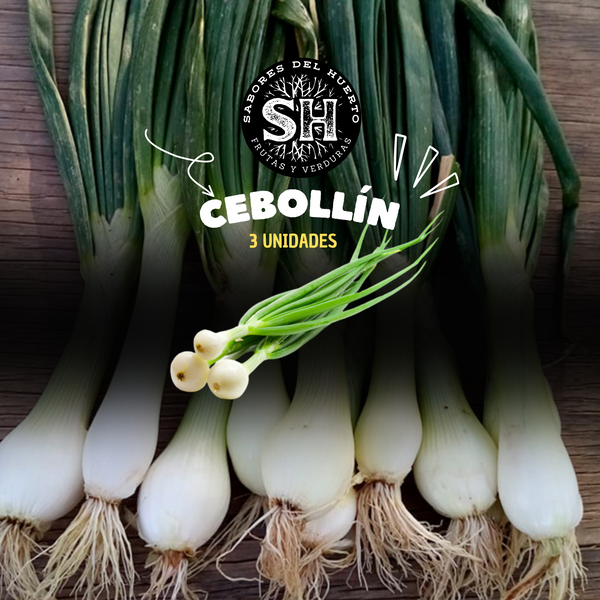 CEBOLLÍN (3 unidades) – Sabores del huerto