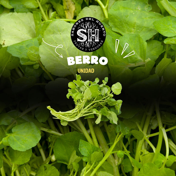 BERRO (100 gr) – Sabores del huerto