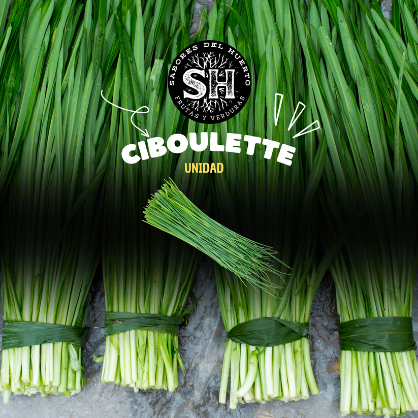 CIBOULETTE (Unidad) – Sabores del huerto