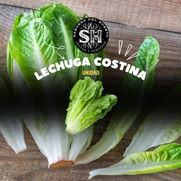 LECHUGA COSTINA (unidad) – Sabores del huerto