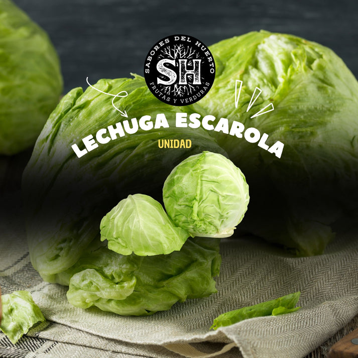 LECHUGA ESCAROLA (unidad) – Sabores del huerto